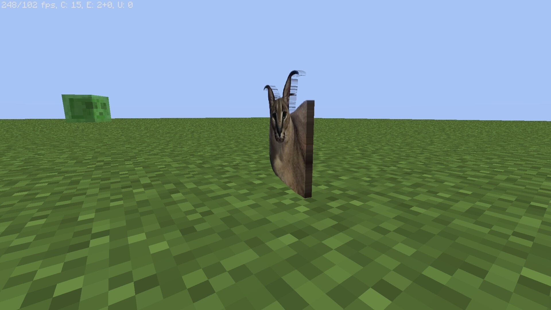 Floppa Totem of undying Minecraft Texture Pack