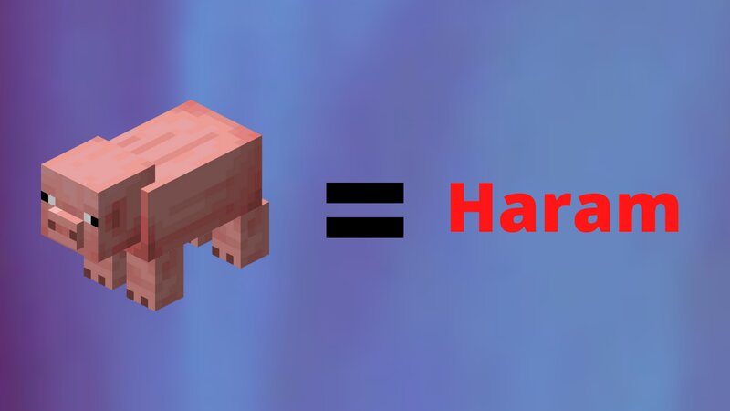 Porkchop to Haram Minecraft Texture Pack