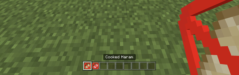 Porkchop to Haram Minecraft Texture Pack