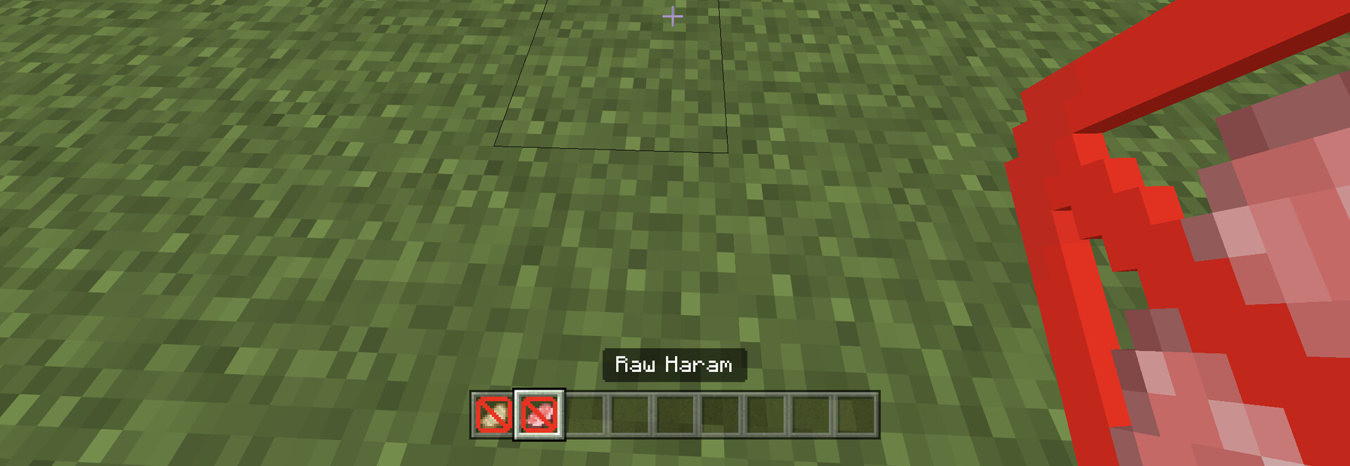 Porkchop to Haram Minecraft Texture Pack