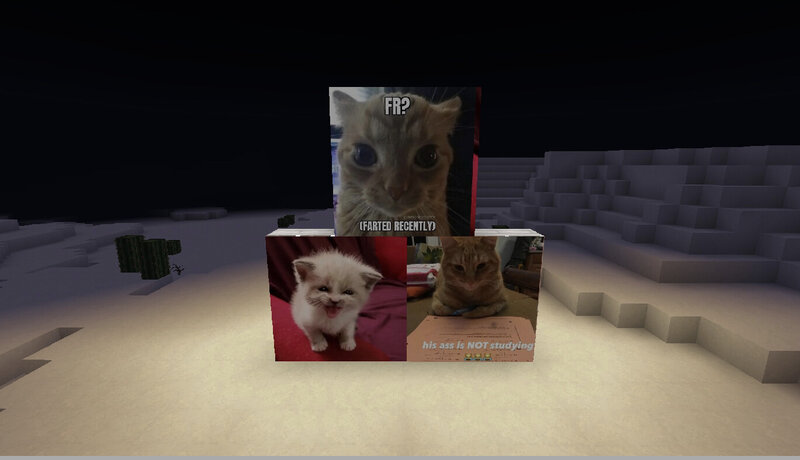 Silly cat paintings - Bedrock Minecraft Texture Pack