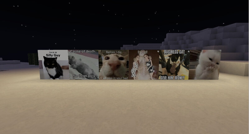 Silly cat paintings - Bedrock Minecraft Texture Pack