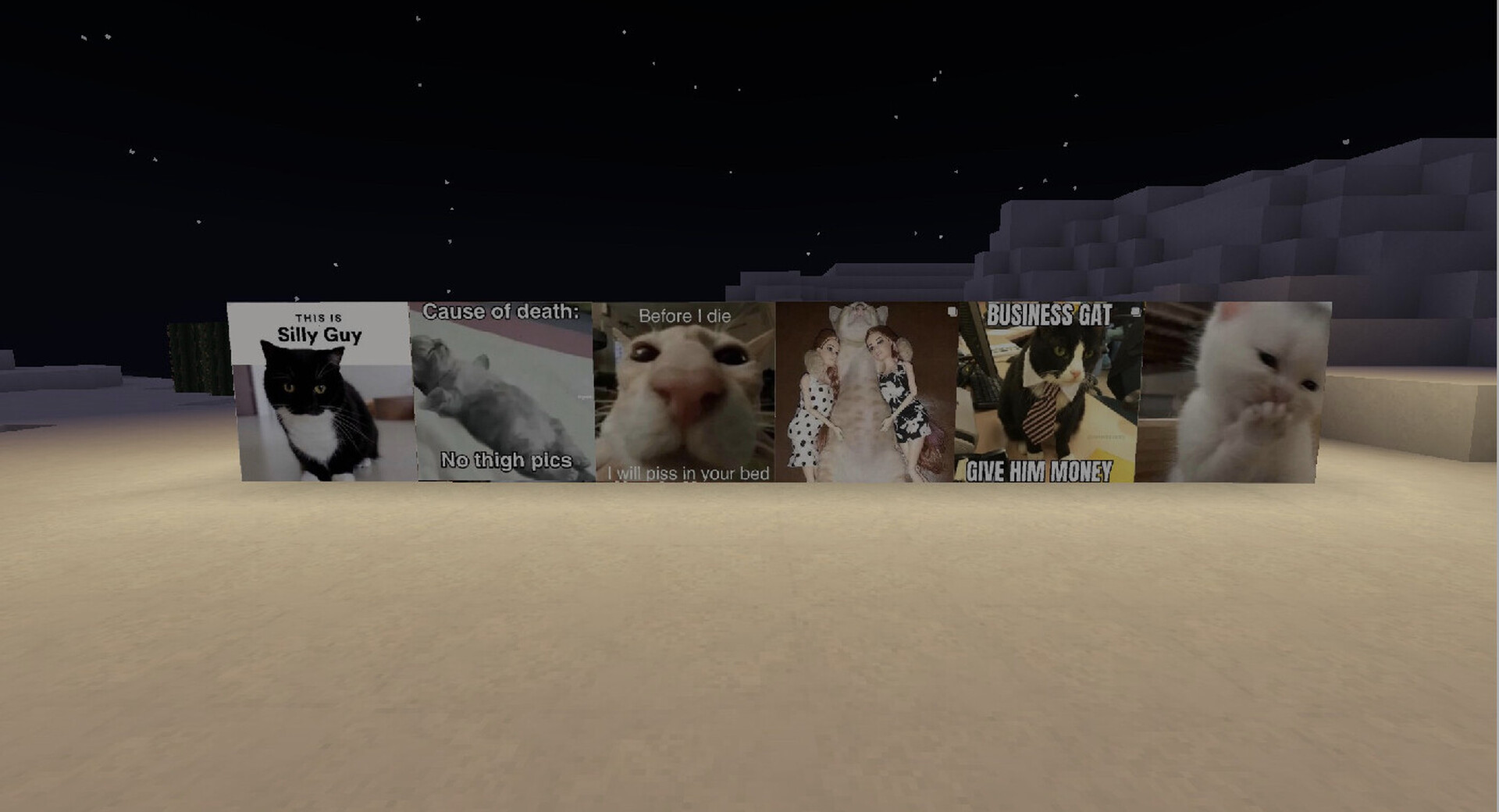 Silly cat paintings - Bedrock Minecraft Texture Pack