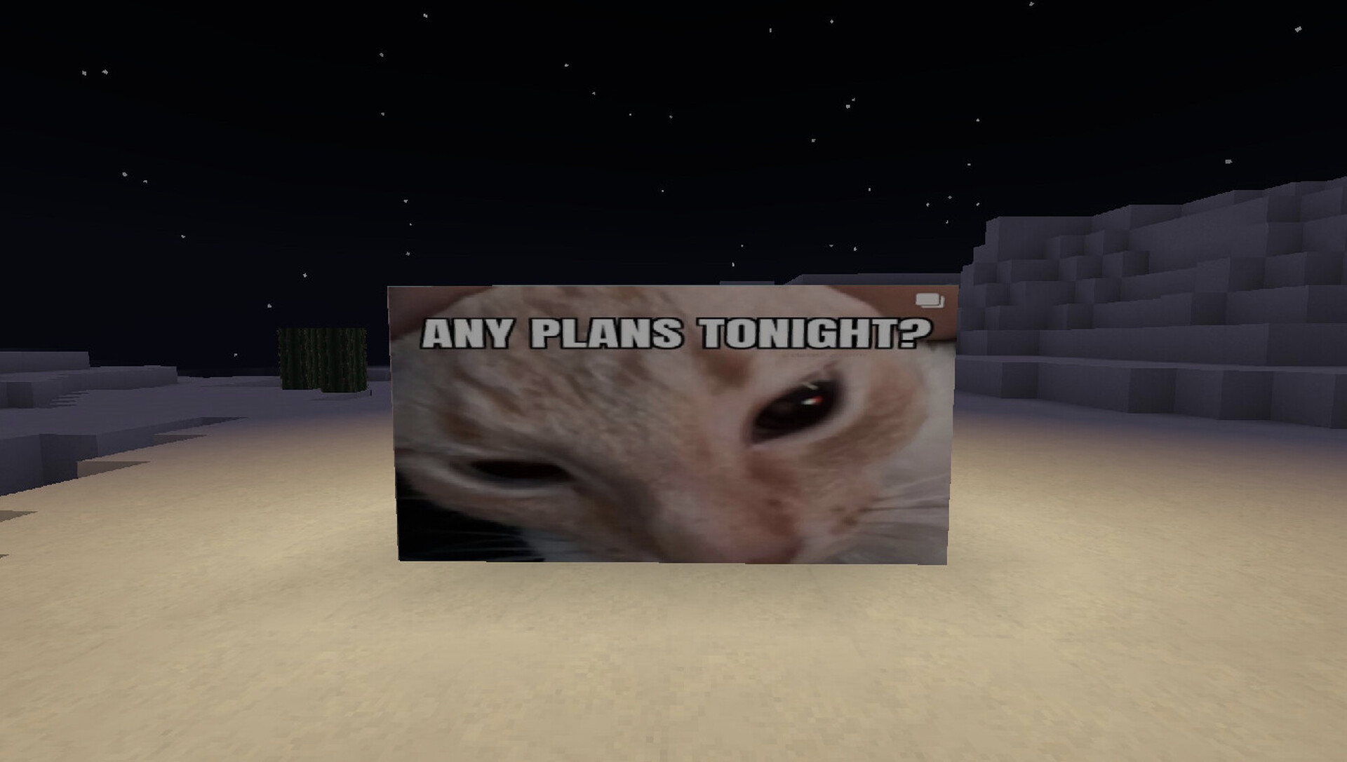 Silly cat paintings - Bedrock Minecraft Texture Pack