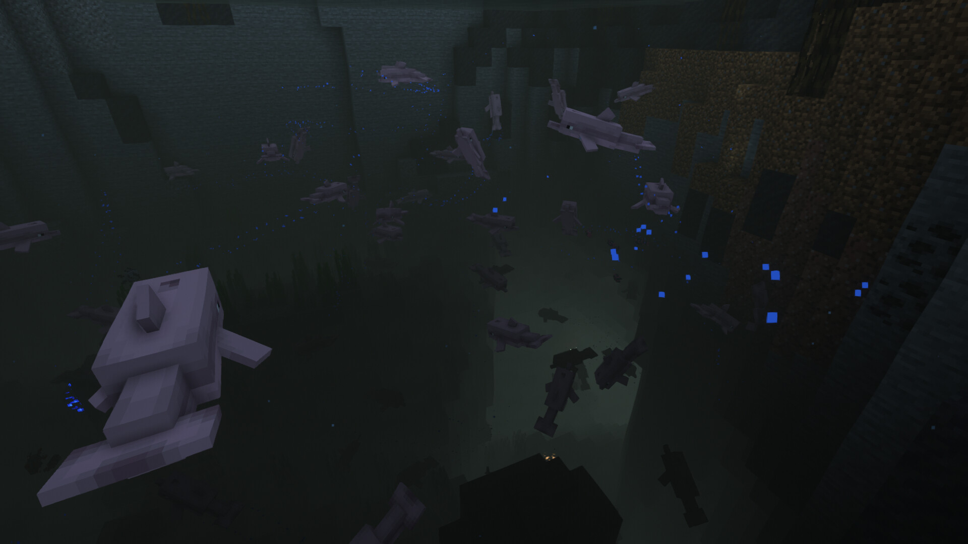 Mangrove Swamp Dolphins Minecraft Texture Pack