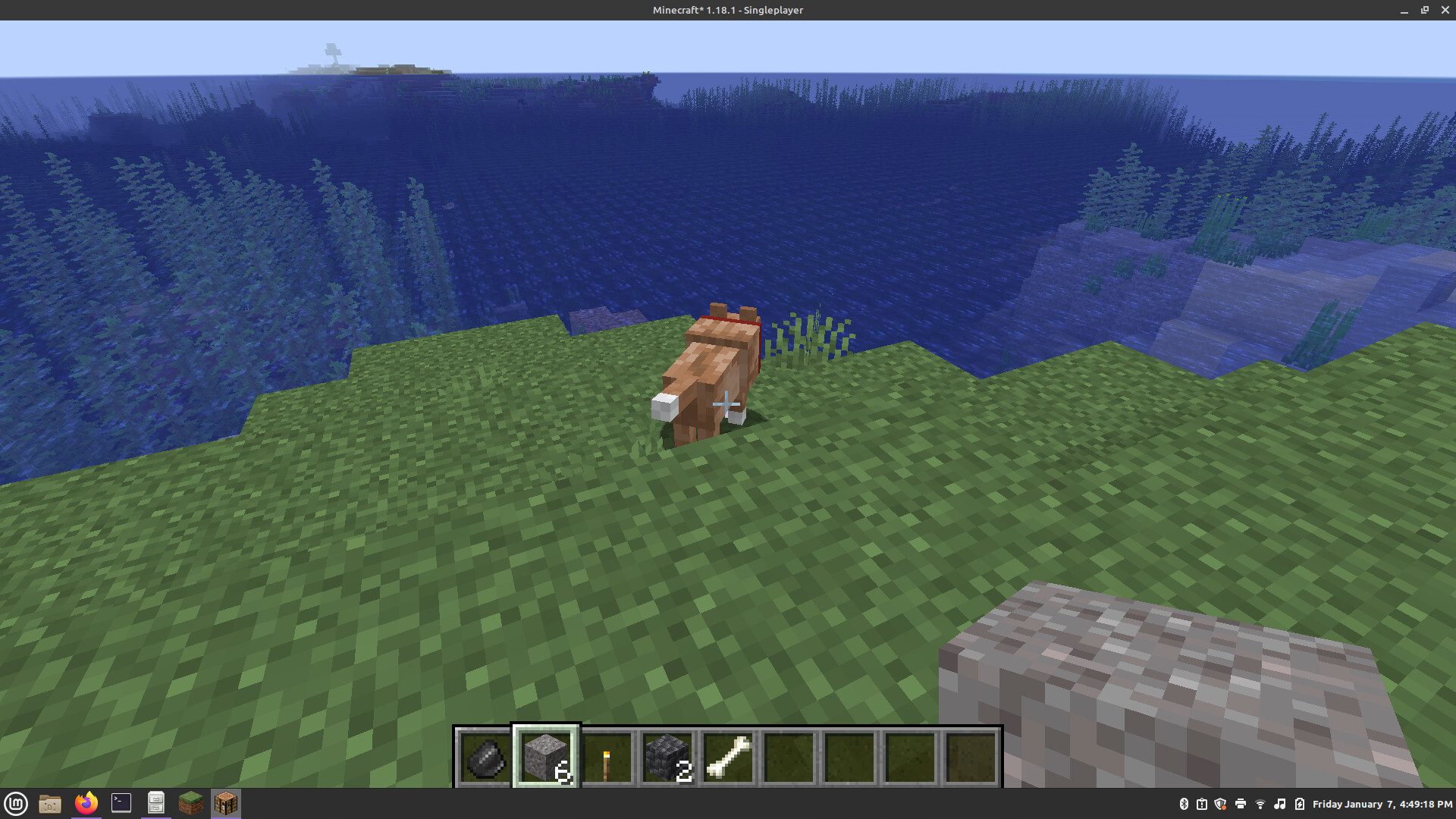 Mildly better dog Minecraft Texture Pack