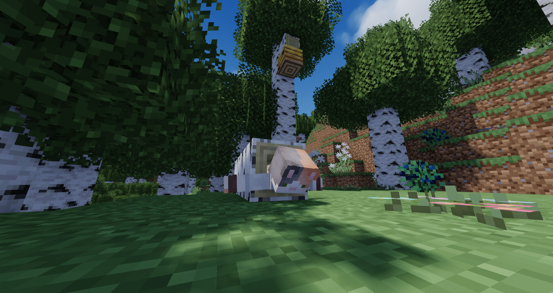 Wild Update 1.19 [OptiFine + CMD] Minecraft Texture Pack