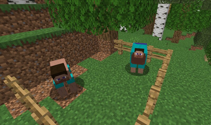 Everyone is Steve Minecraft Texture Pack