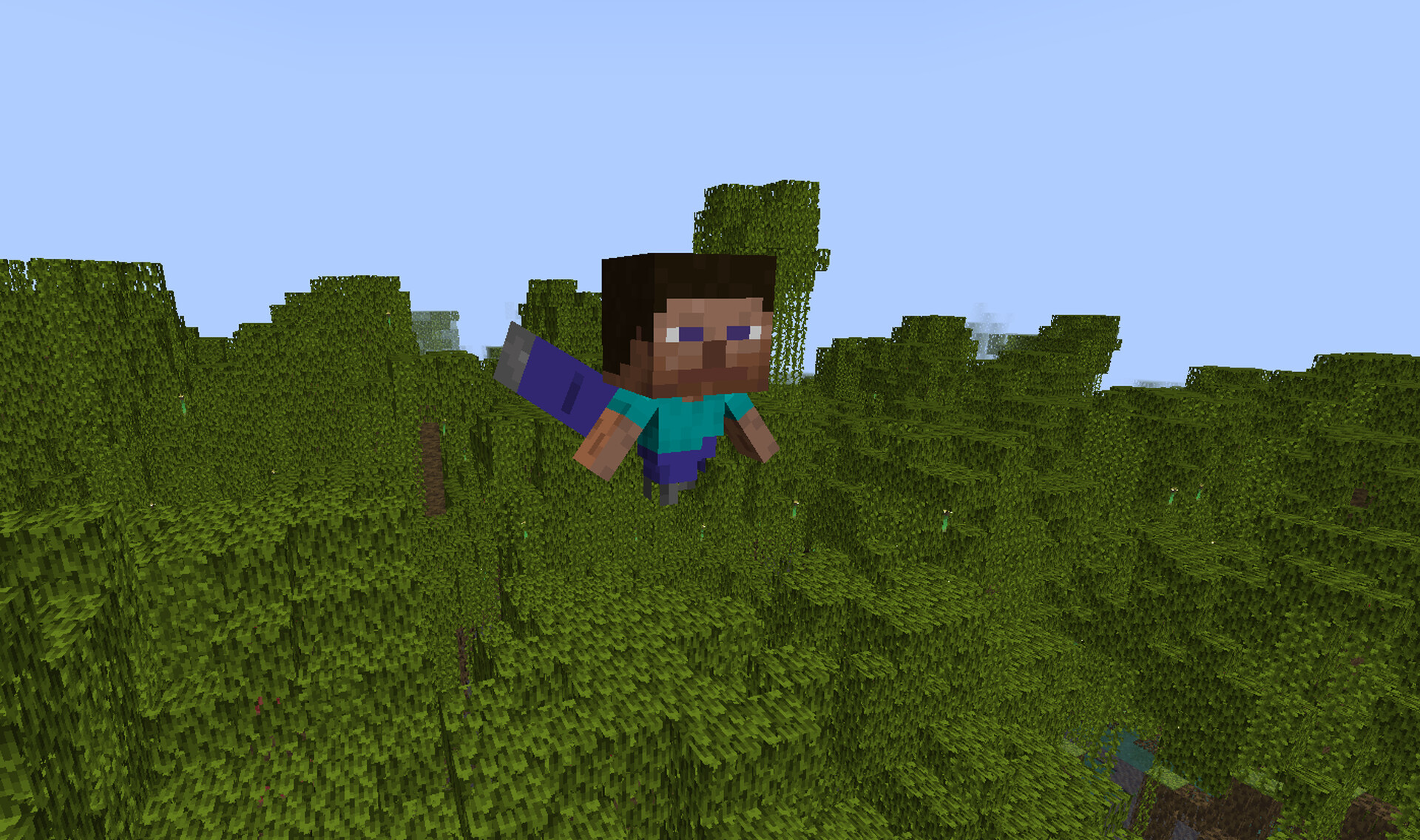 Everyone is Steve Minecraft Texture Pack