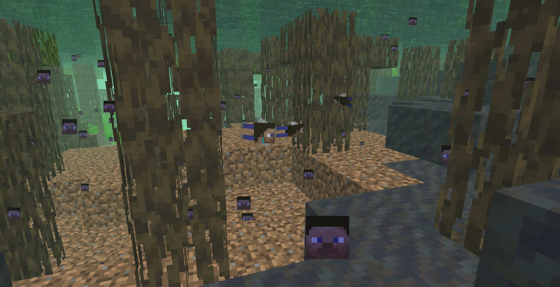 Everyone is Steve Minecraft Texture Pack