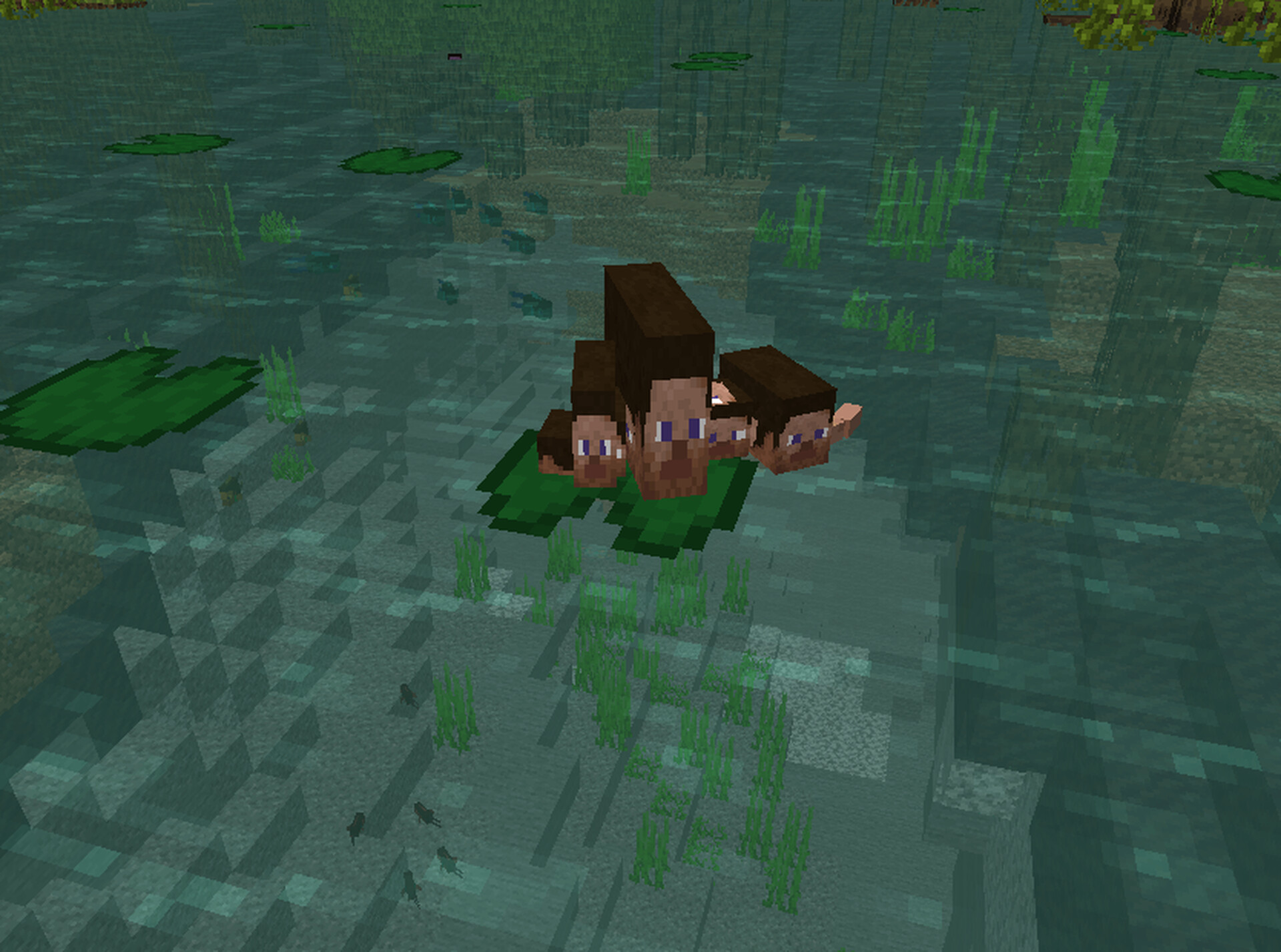 Everyone is Steve Minecraft Texture Pack