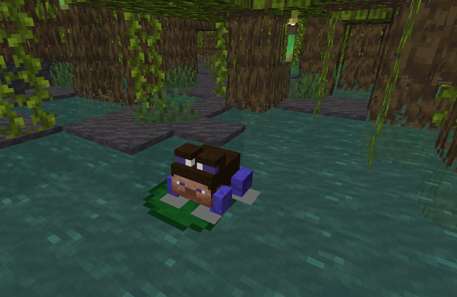 Everyone is Steve Minecraft Texture Pack