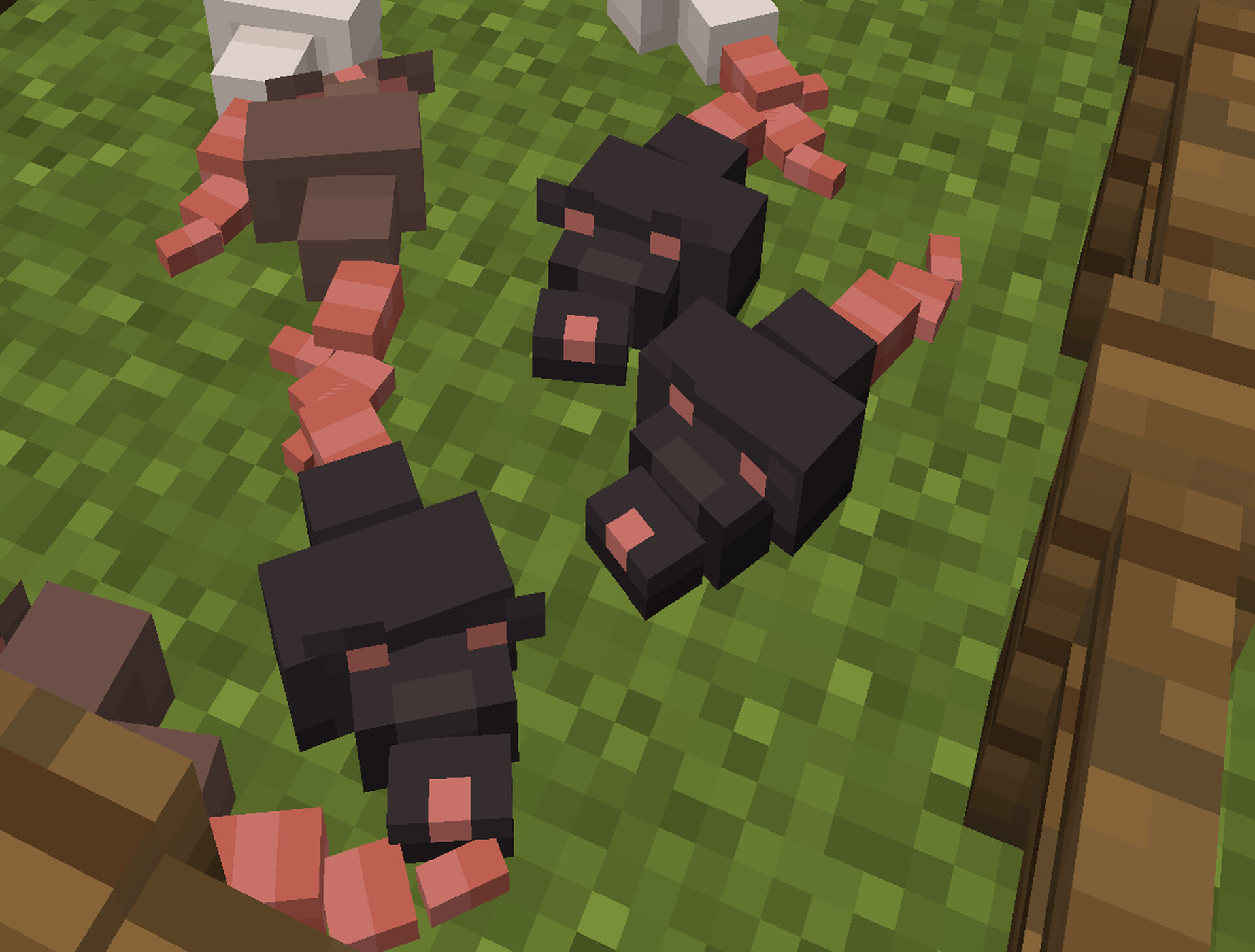 txyme's cottagecore pack Minecraft Texture Pack