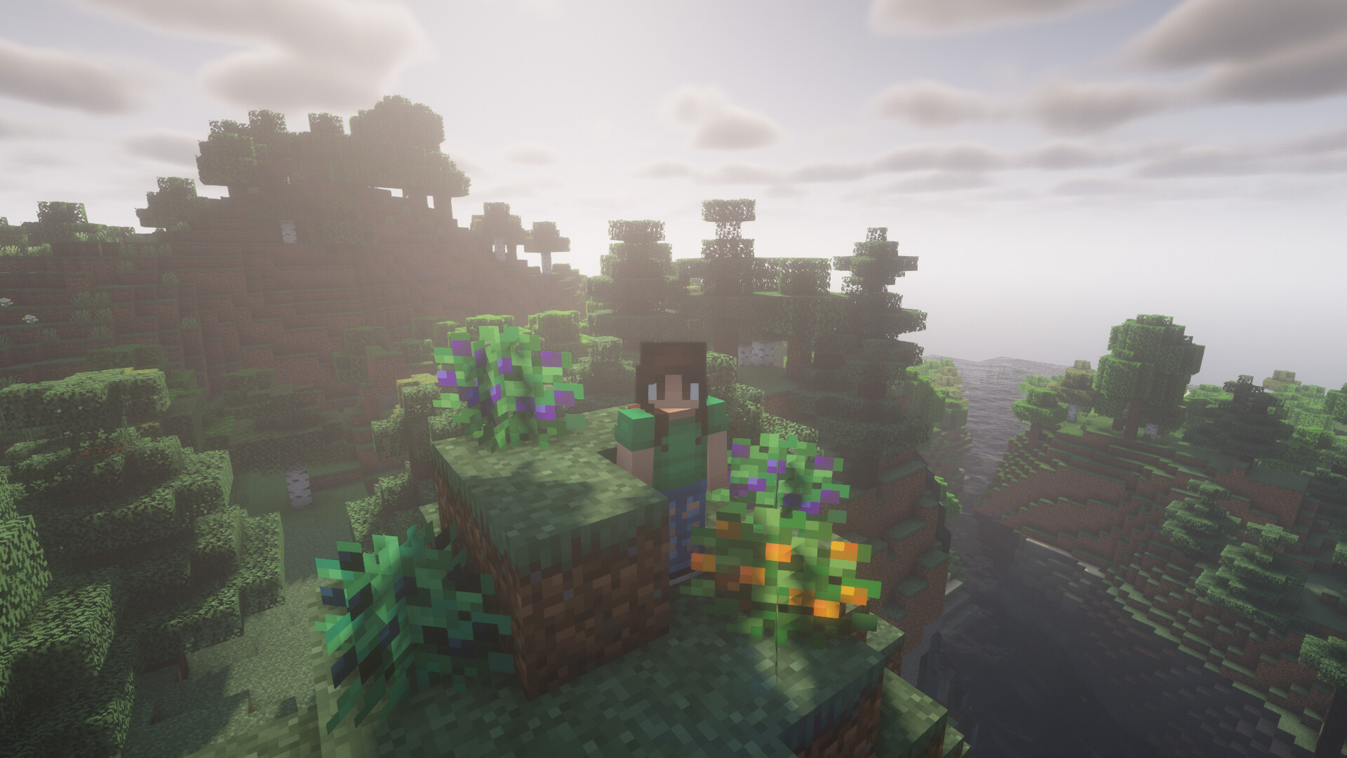 Better Berries Texture Pack Minecraft Texture Pack