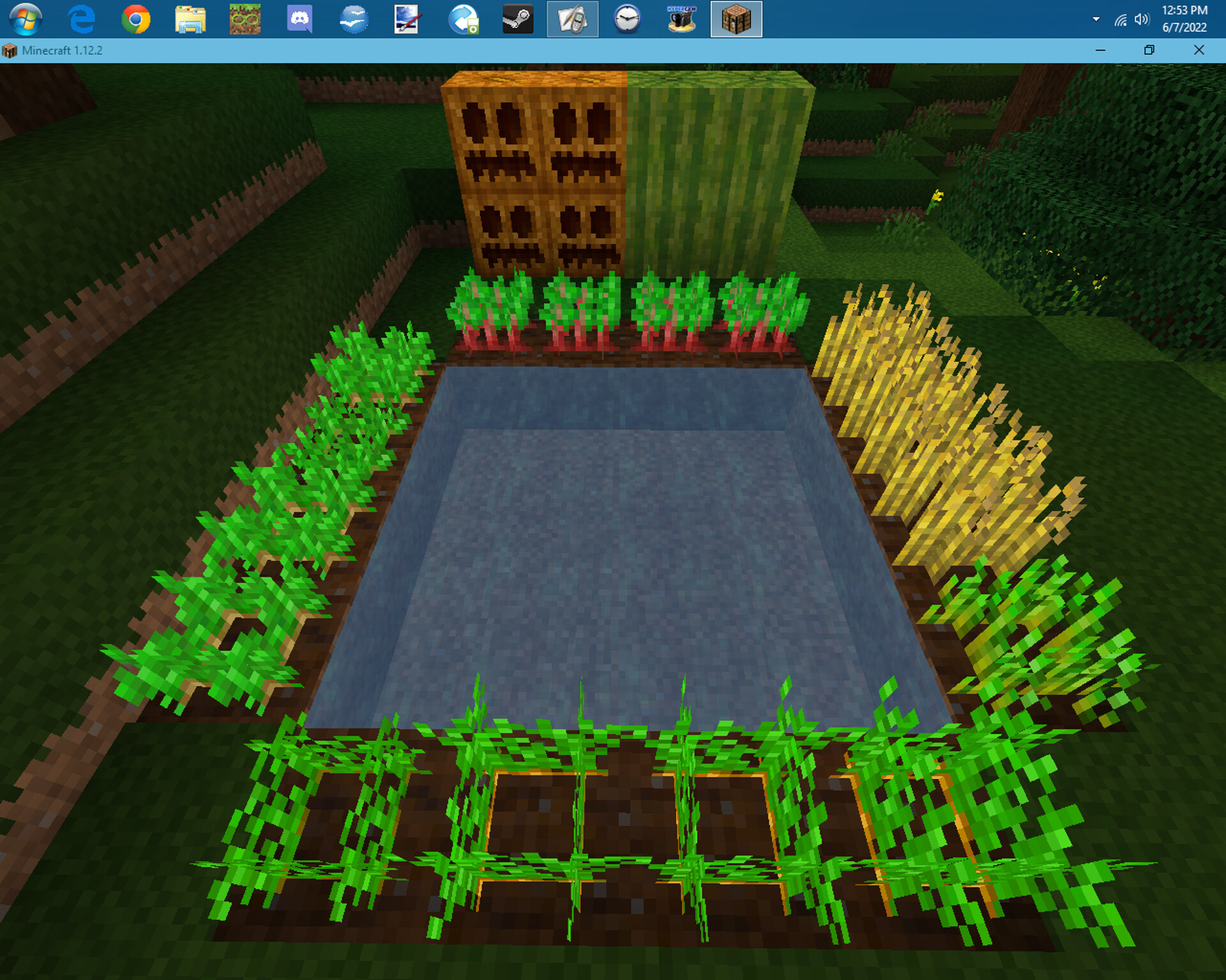 (W. I. P.) Austminer's Summer 2022 Texture Pack! (For MC 1.14 & above ...