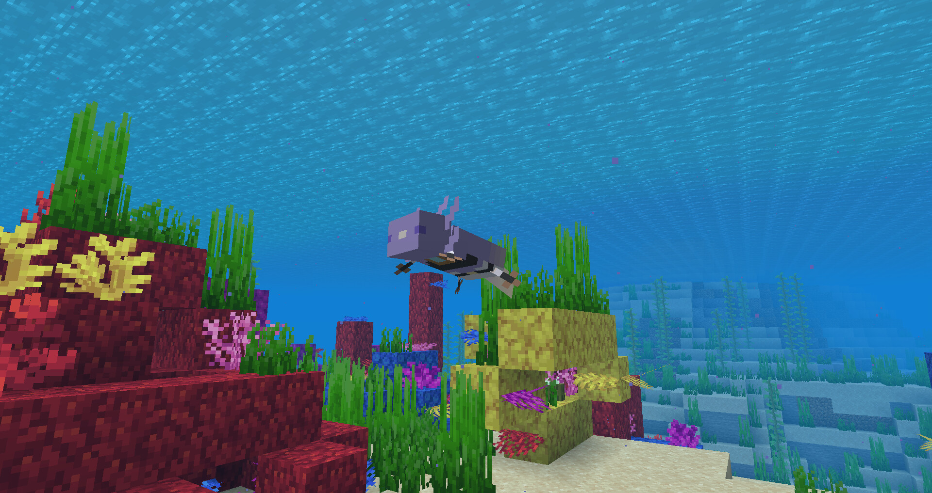 Holo Axolotl (require Optifine) - Blue version Minecraft Texture Pack
