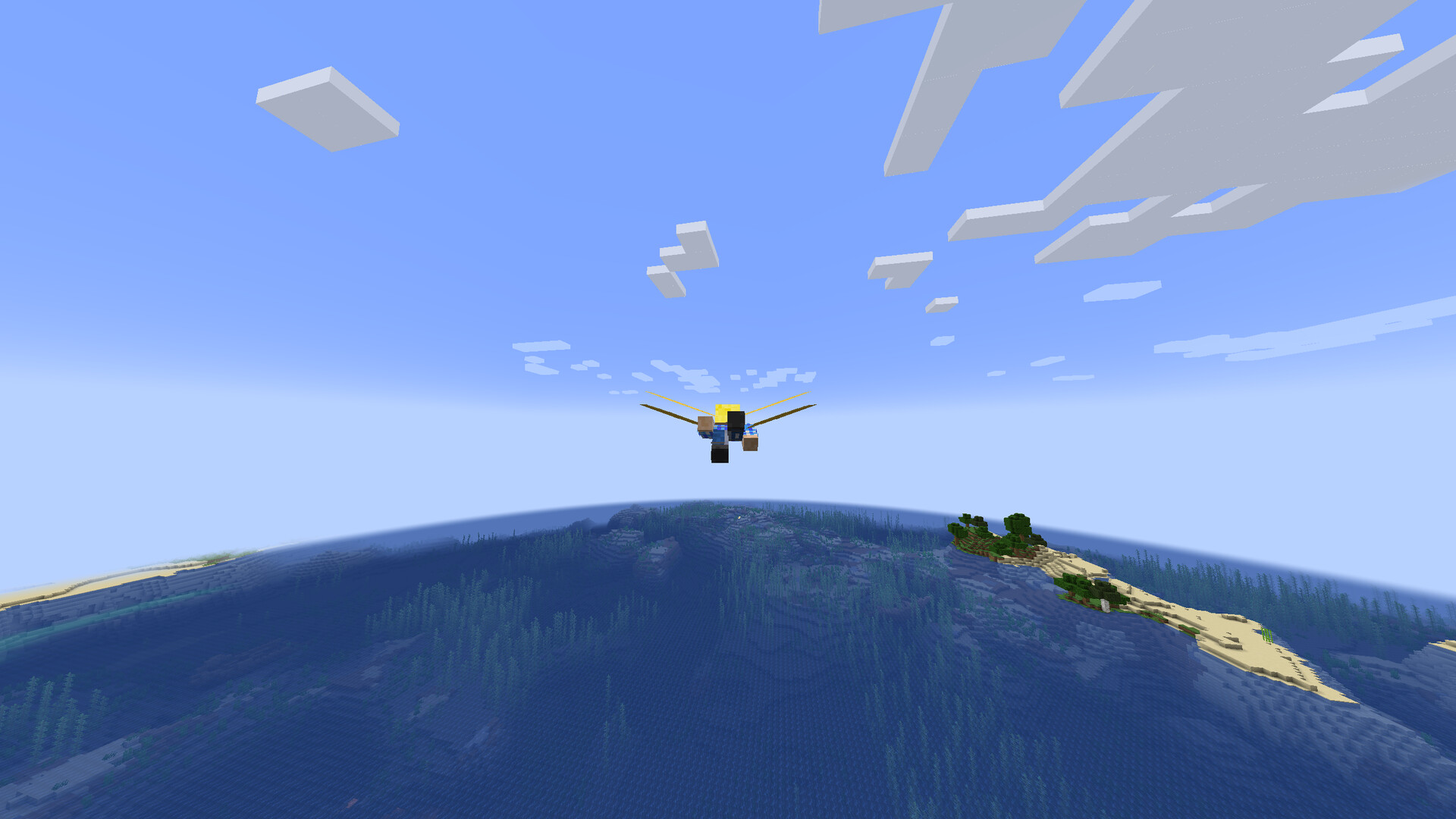 Yellow_Elytra 1.19.2 Minecraft Texture Pack