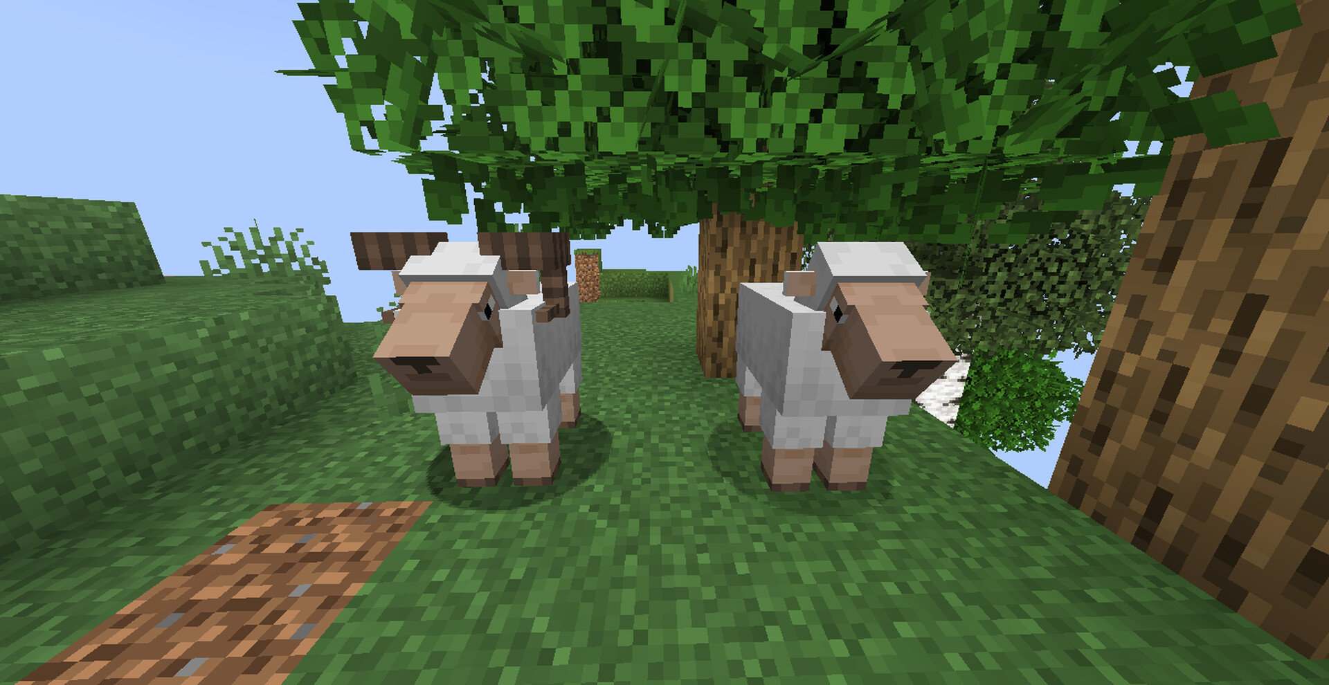 Vex's Variants (Optifine Required) Minecraft Texture Pack