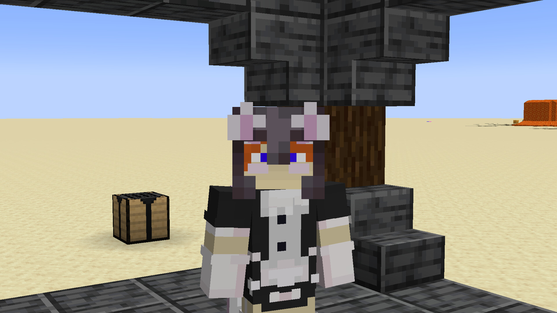 Catears on armor Minecraft Texture Pack