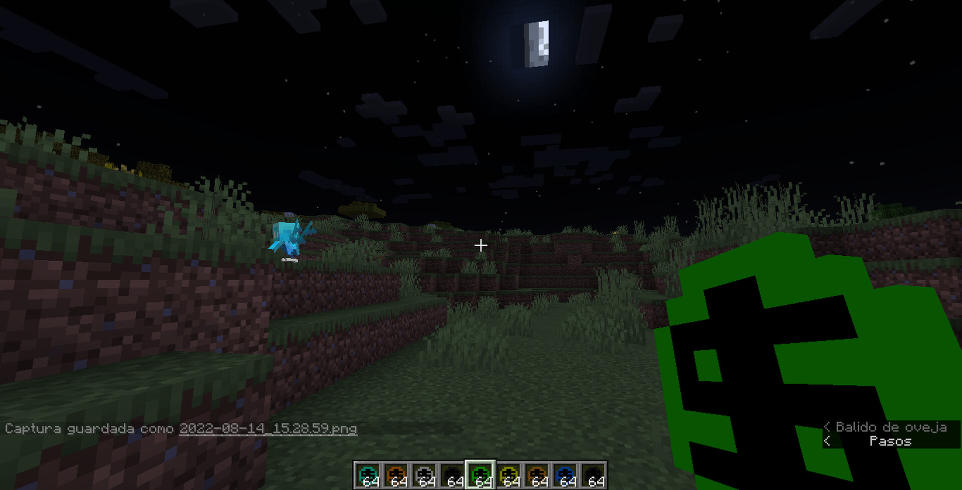 Coins For Minecraft! Minecraft Texture Pack