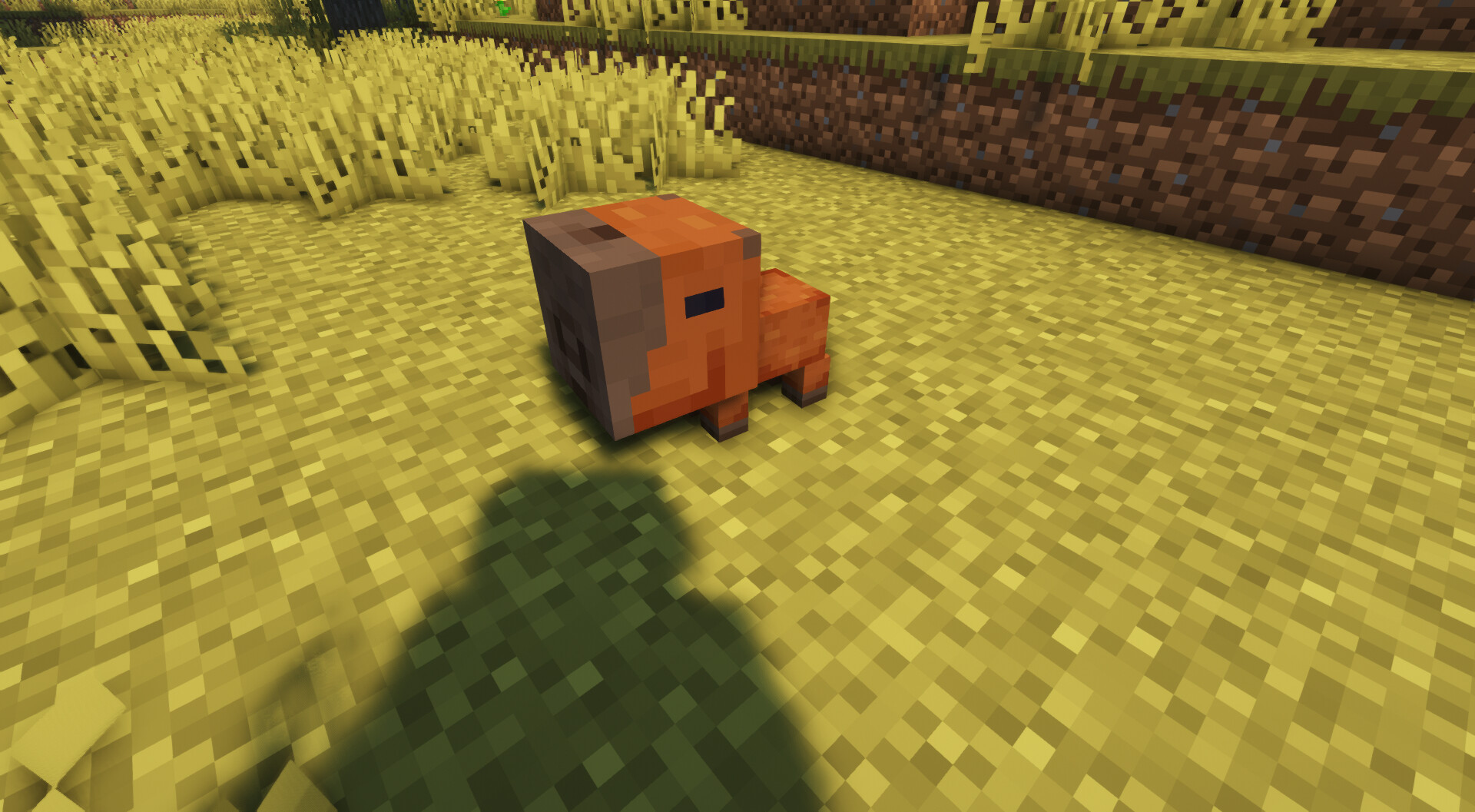 [1.17 - 1.19] Capybara Pigs Minecraft Texture Pack