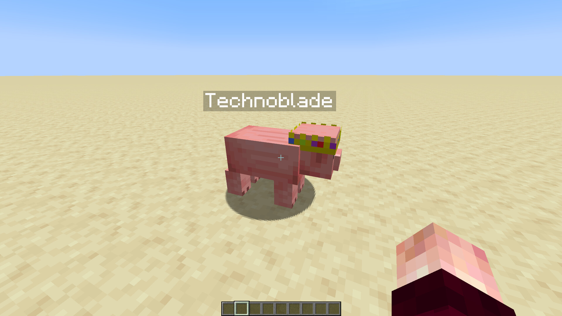 Technoblade Brute & Pig Minecraft Texture Pack