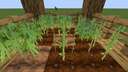 Weed Wheat Minecraft Texture Pack
