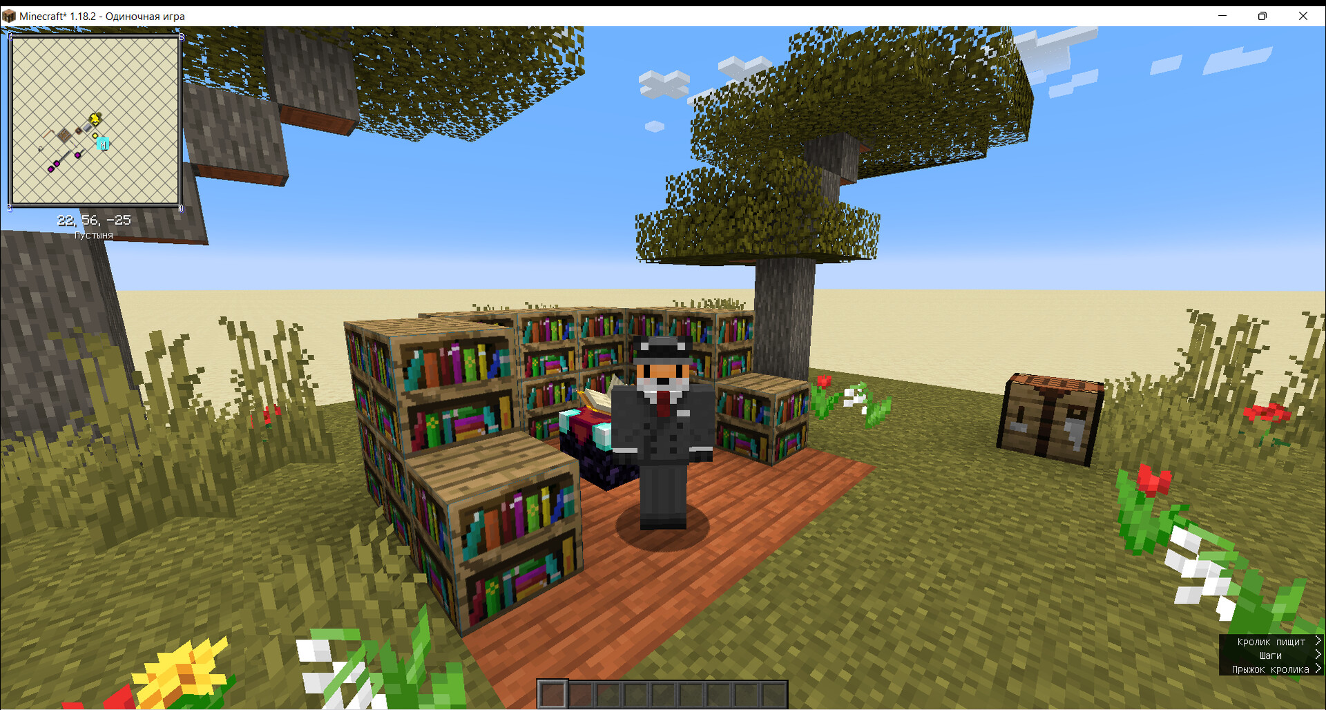 Book+ Minecraft Texture Pack
