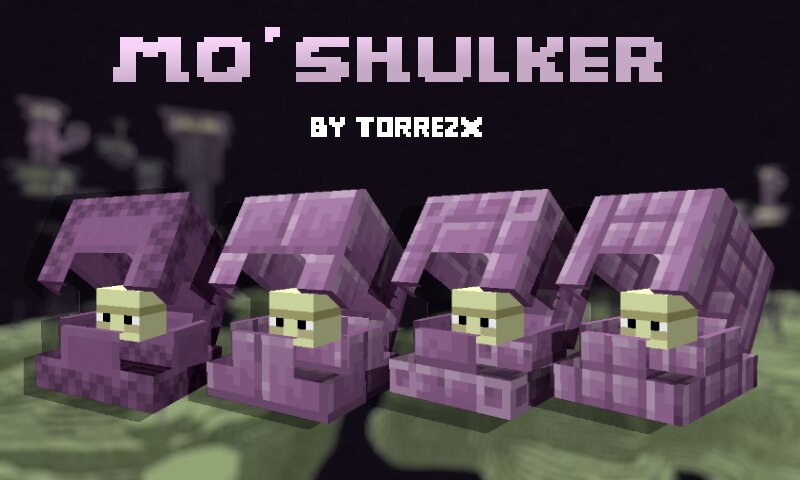 Torrezx-Mo shulker Minecraft Texture Pack