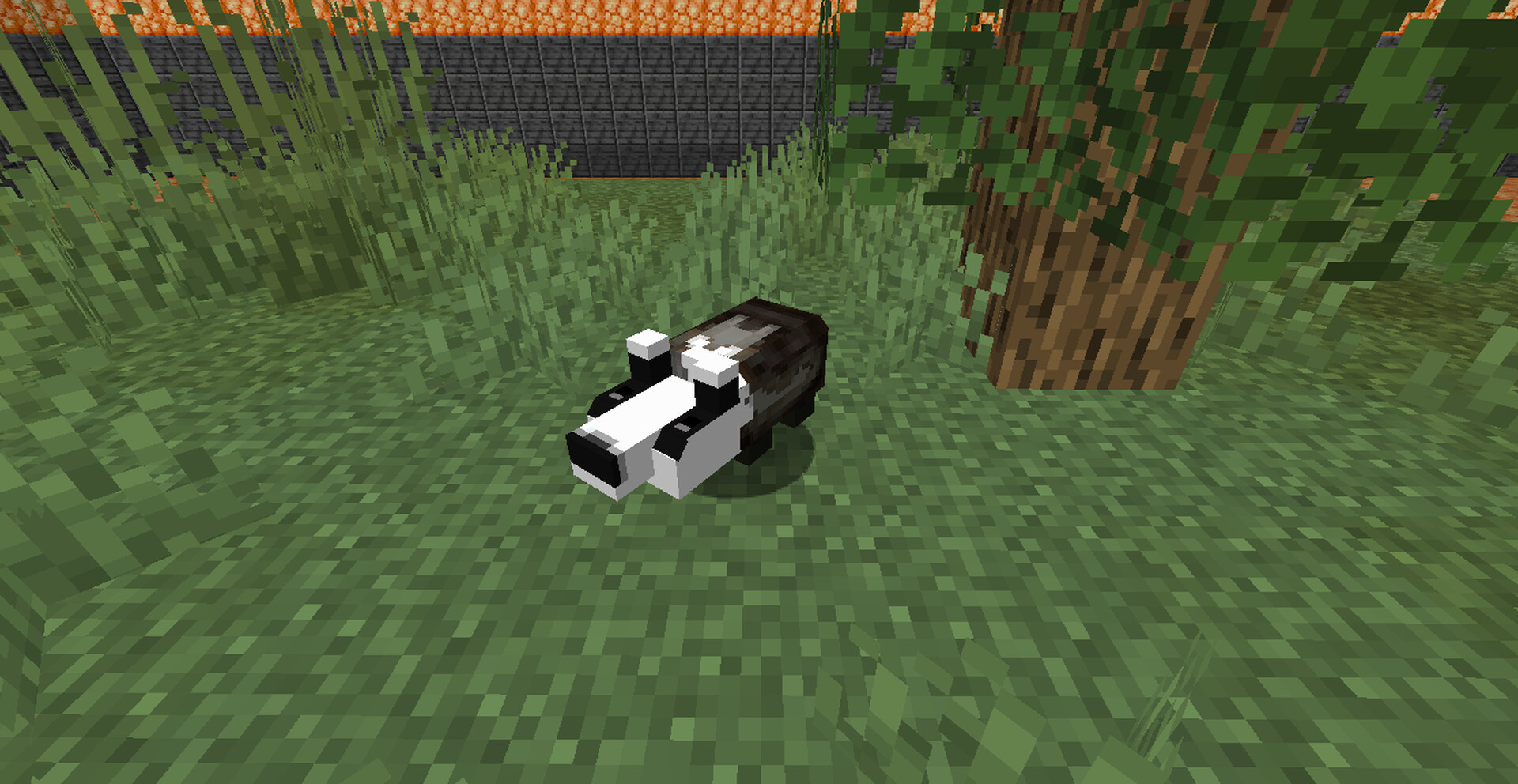 Badger from Minecraft Legends (OPTIFINE) Minecraft Texture Pack