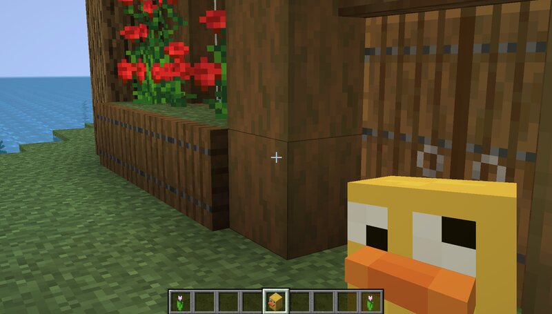 Duckie! Minecraft Texture Pack