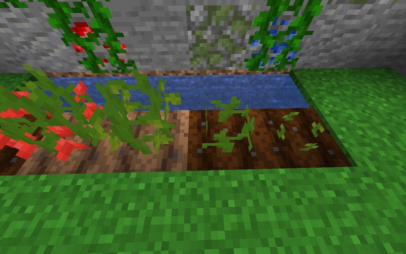 Tasty Tomatoes Minecraft Texture Pack
