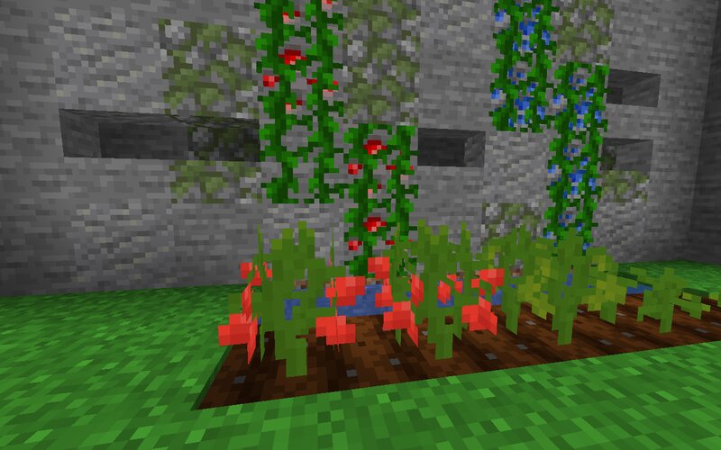 Tasty Tomatoes Minecraft Texture Pack