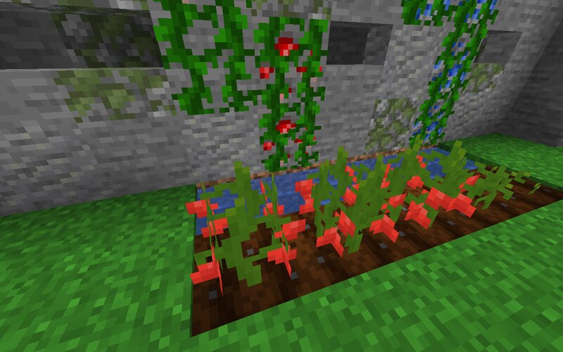 Tasty Tomatoes Minecraft Texture Pack