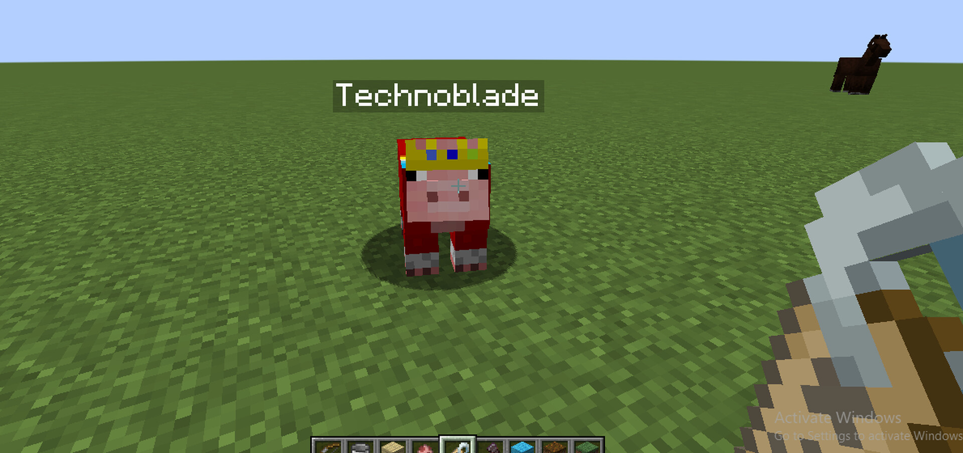 Technoblade Easter Egg (optifine) Minecraft Texture Pack