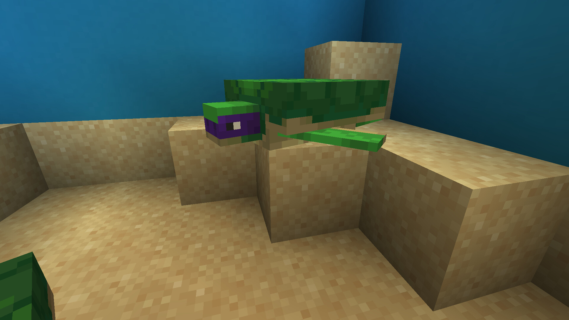 Ninja Turtles Minecraft Texture Pack