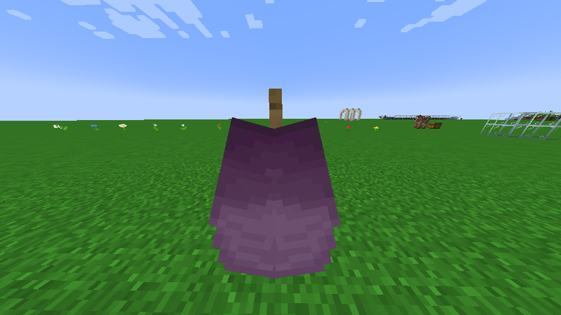 Chorus Elytra Minecraft Texture Pack