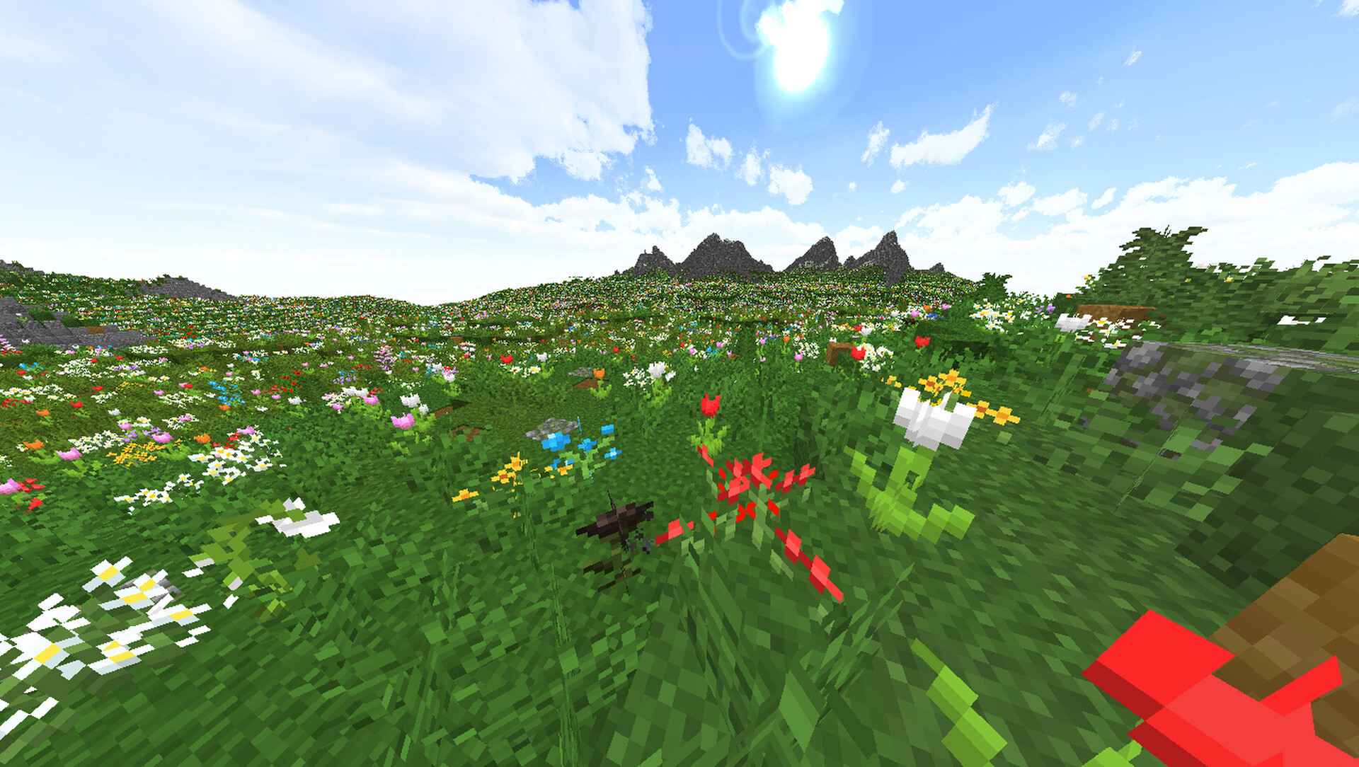 CrazyRTX Minecraft Texture Pack