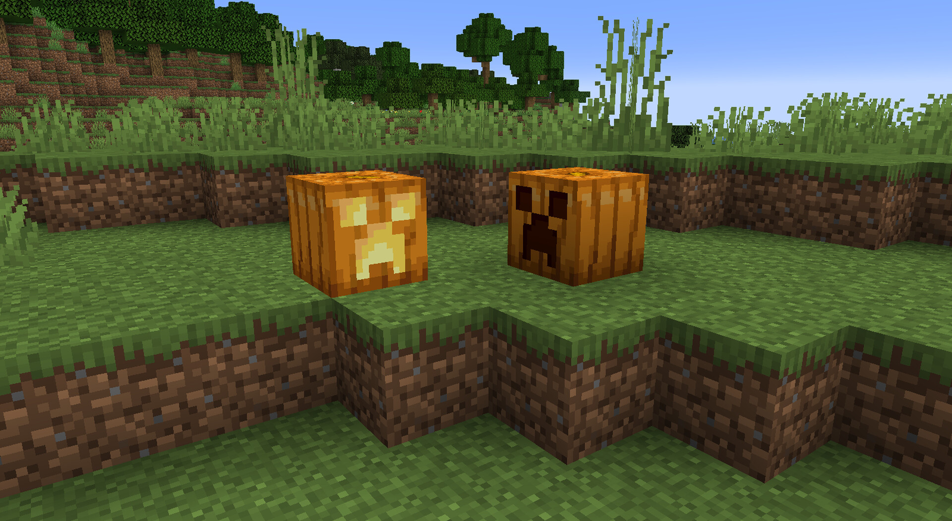Minecraft Creeper Jack O Lantern at Bobby Hilson blog