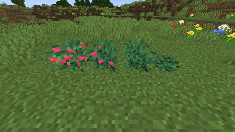 Sweet Berries to Raspberries! Minecraft Texture Pack