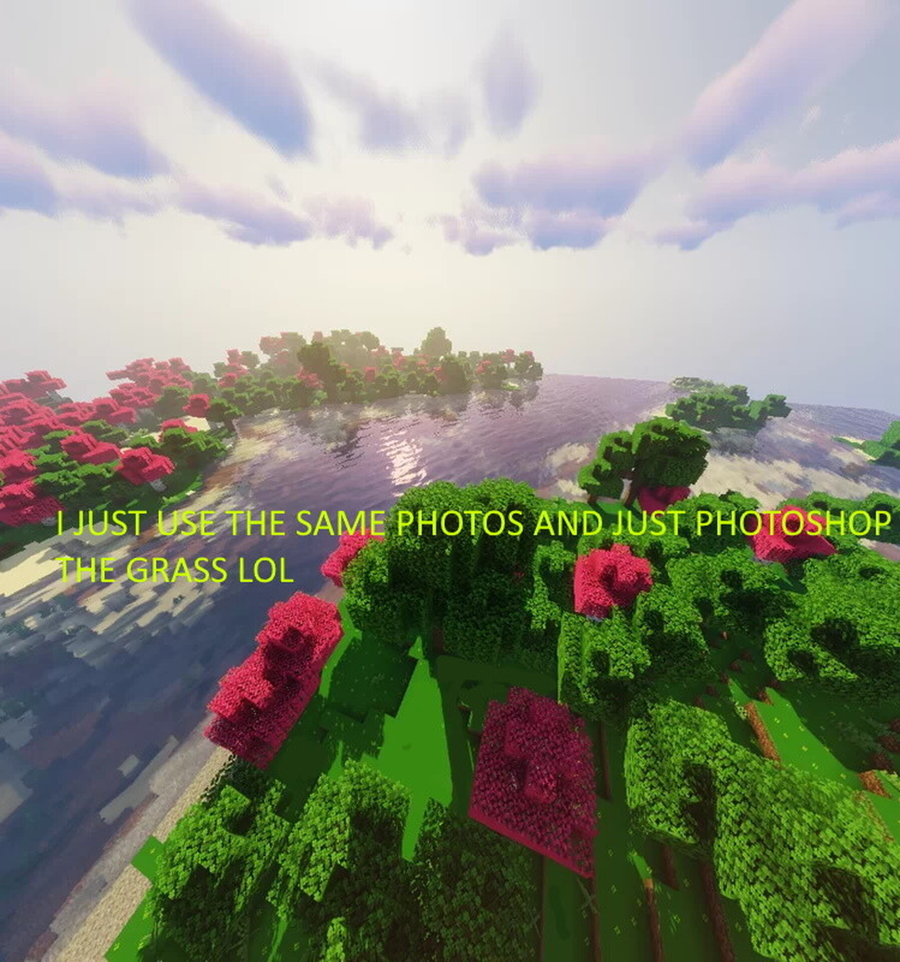 grass removal - summerpack (16x) Minecraft Texture Pack