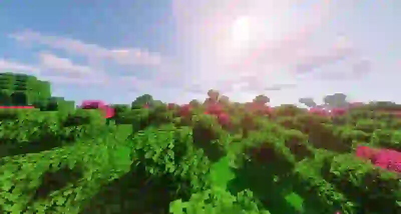 grass removal - summerpack (16x) Minecraft Texture Pack