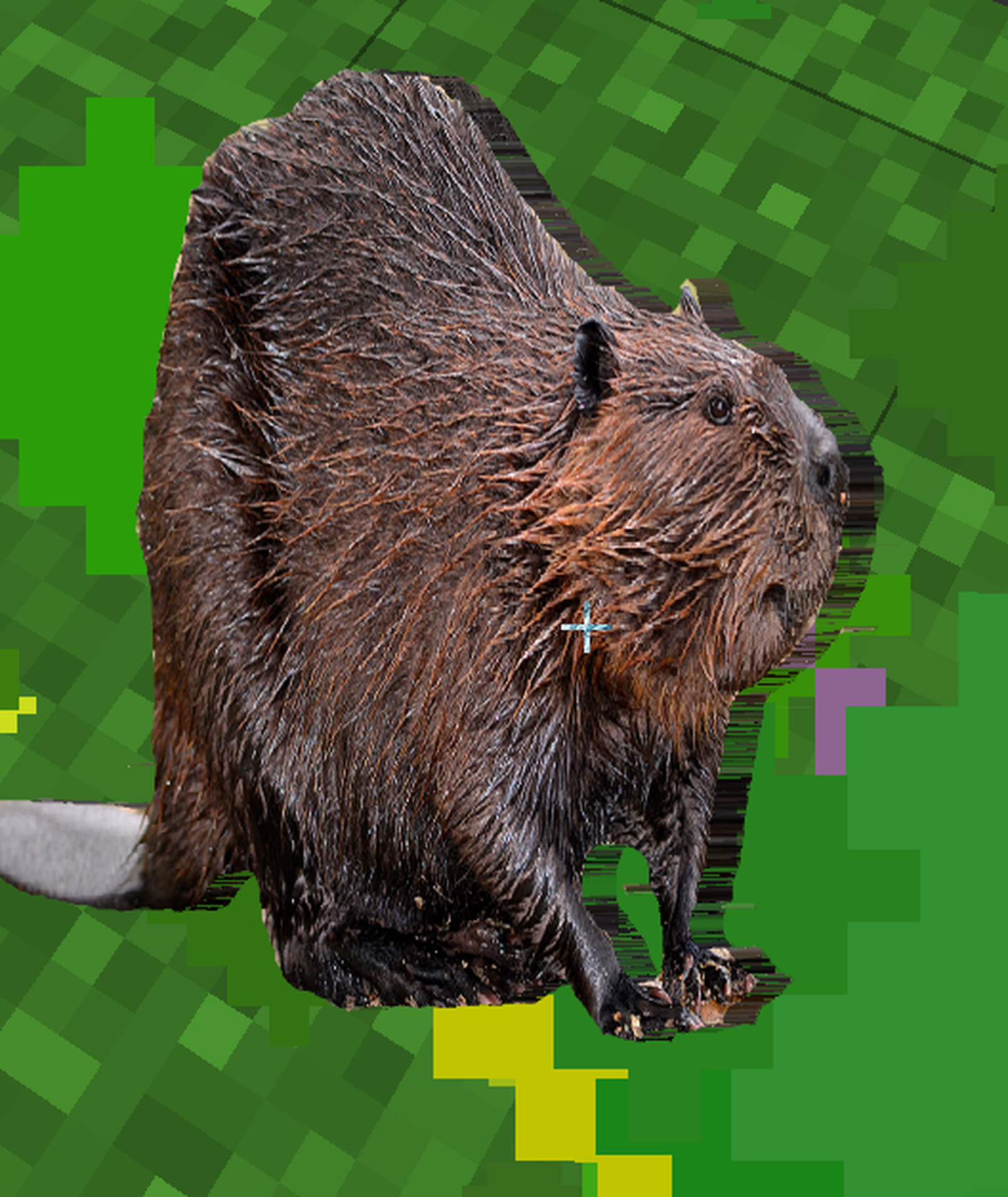 Beaver totem of undying because i wanted to Minecraft Texture Pack