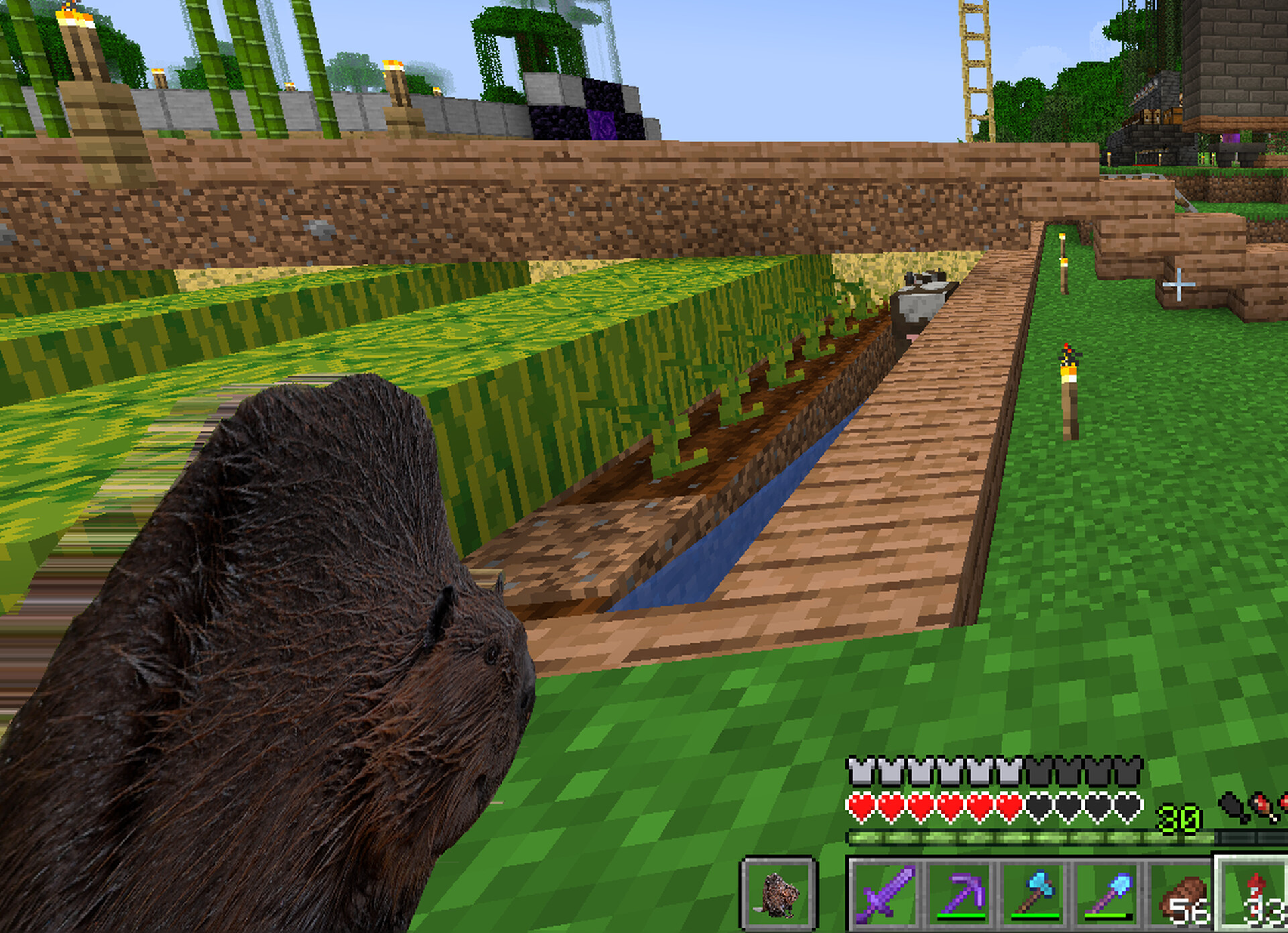 Beaver totem of undying because i wanted to Minecraft Texture Pack