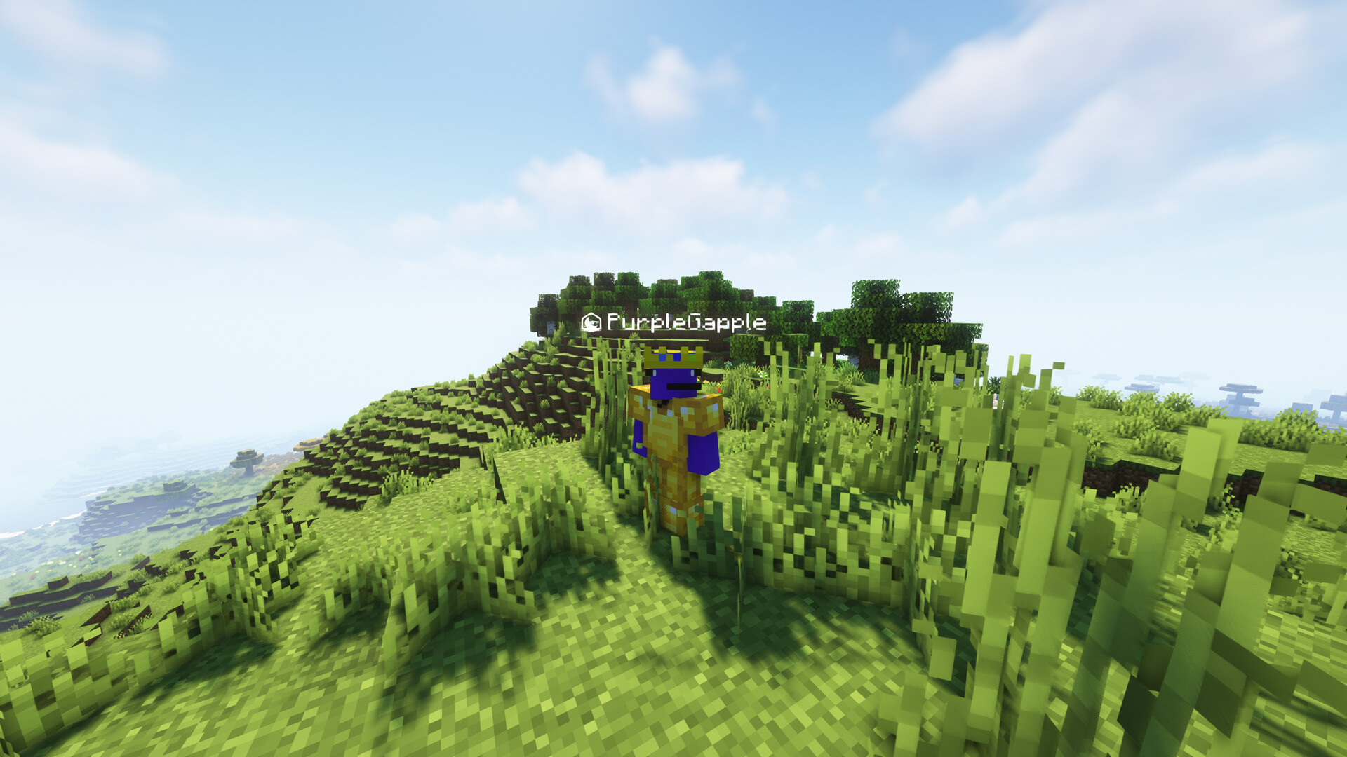 Helmets to Crowns Minecraft Texture Pack