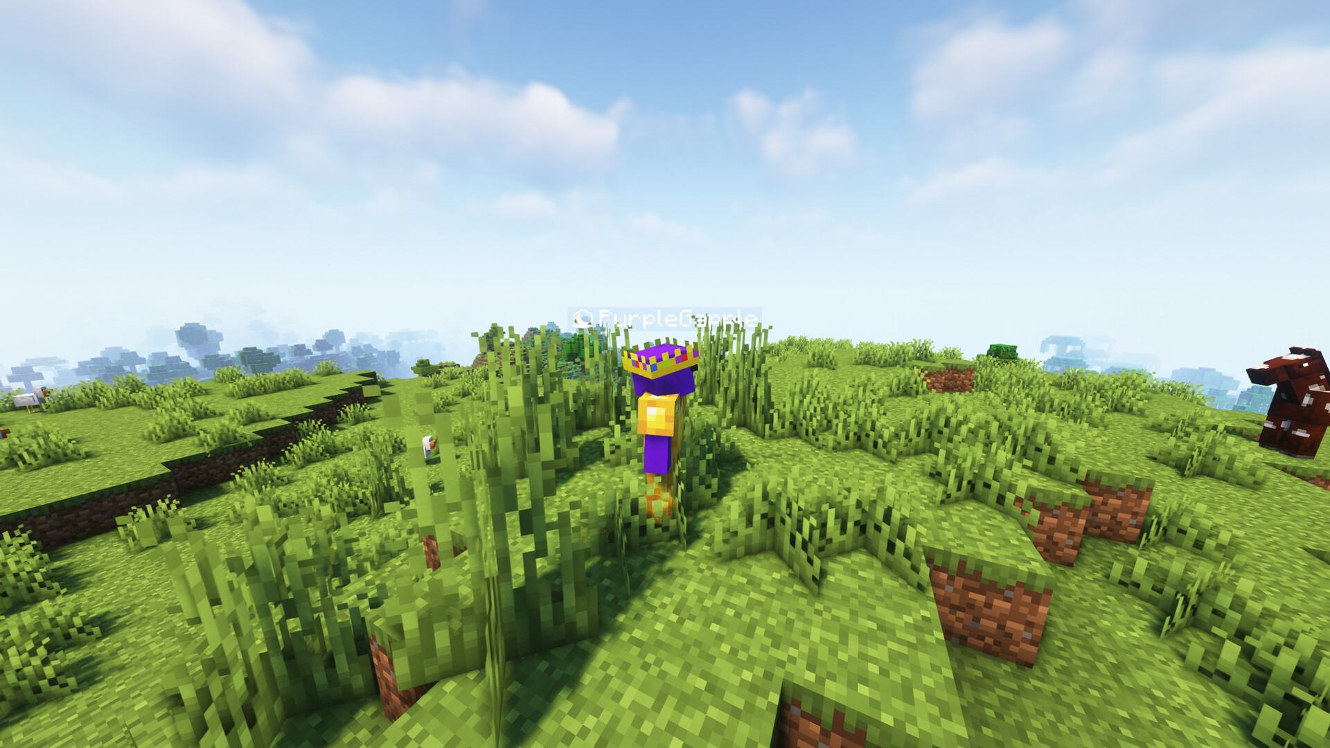 Helmets to Crowns Minecraft Texture Pack