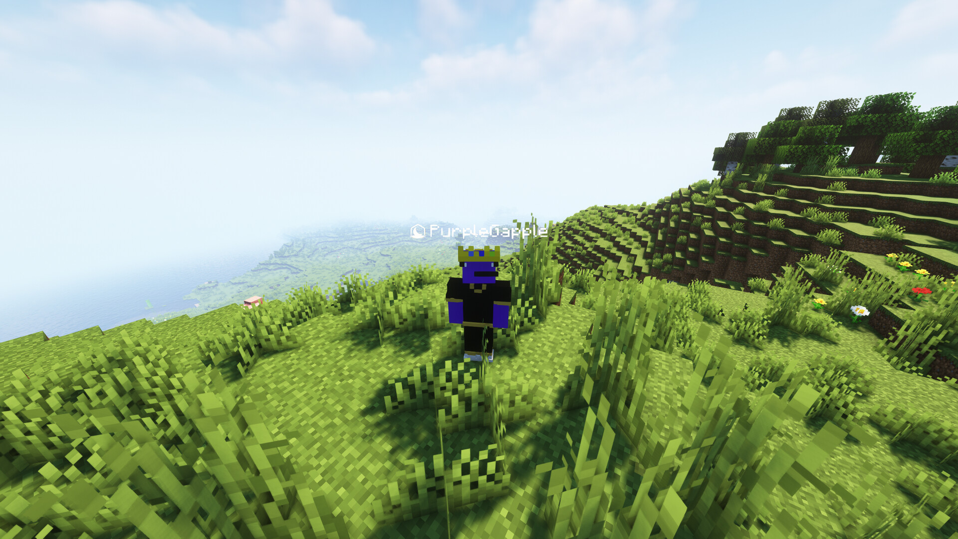 Helmets to Crowns Minecraft Texture Pack