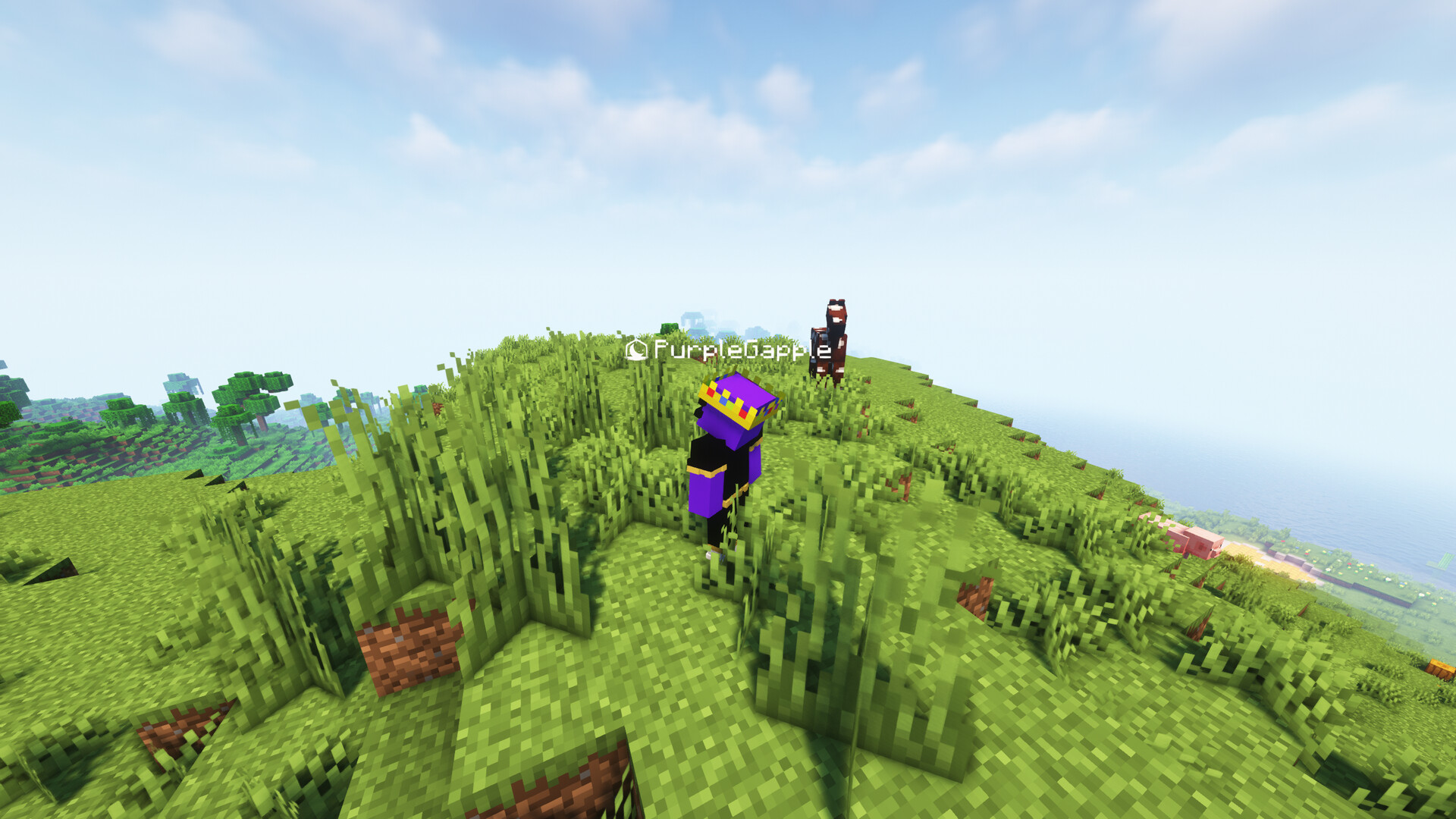 Helmets to Crowns Minecraft Texture Pack