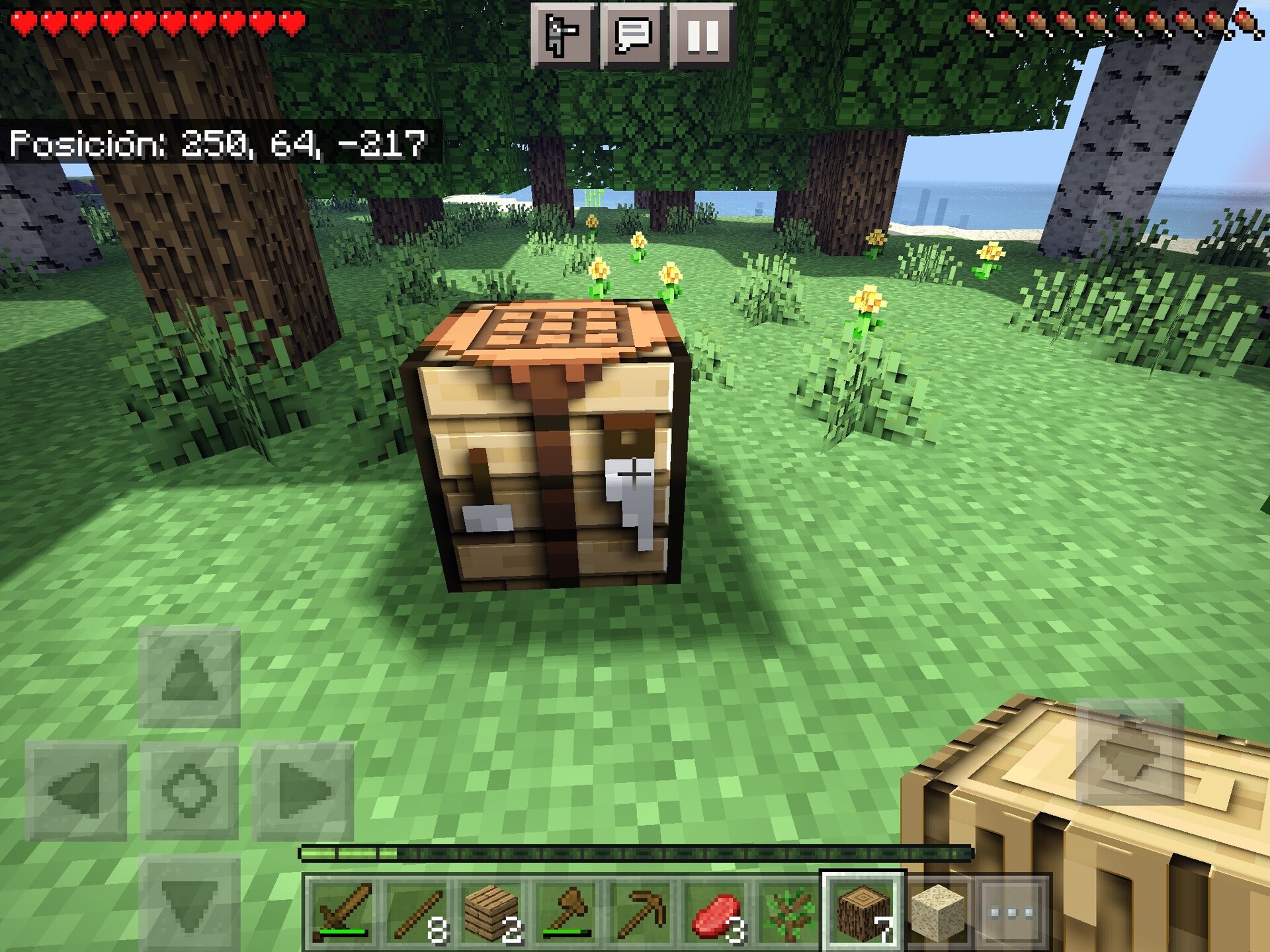 Radhit's RTX Shader Minecraft Texture Pack
