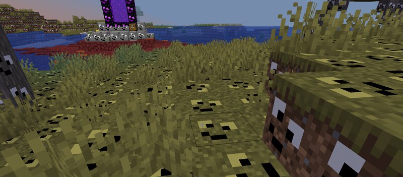 Vladsuper31 face everywhere 1.19.2 Minecraft Texture Pack